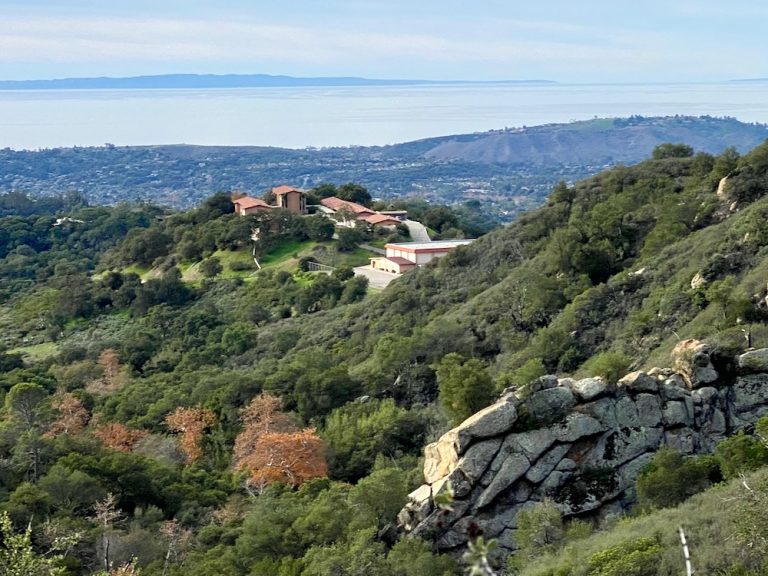 Siteline | What’s Happening With the Pepper Tree Inn?