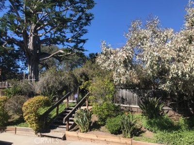 Siteline | Leslie Ridley-Tree’s Birnam Wood Home Hits the Market for $7 ...