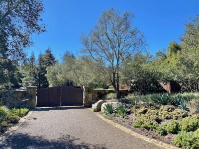 Siteline | Scaling the Heights of Las Alturas