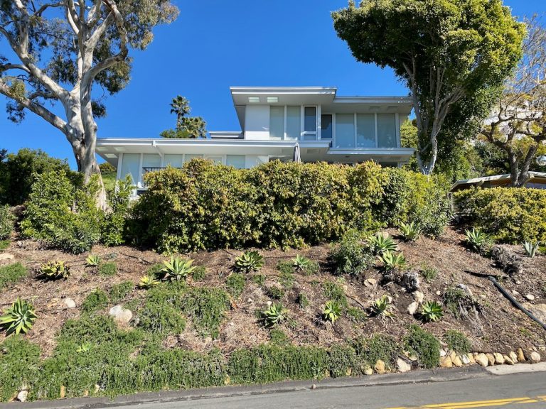 Siteline | Scaling the Heights of Las Alturas