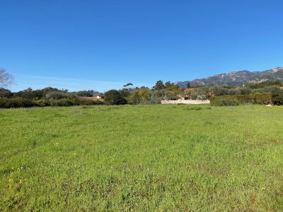 Siteline | A New Chapter for the Palms Building in Carpinteria