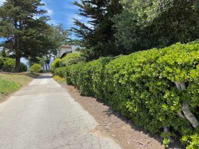 Siteline | Out and Back on Ortega Ridge