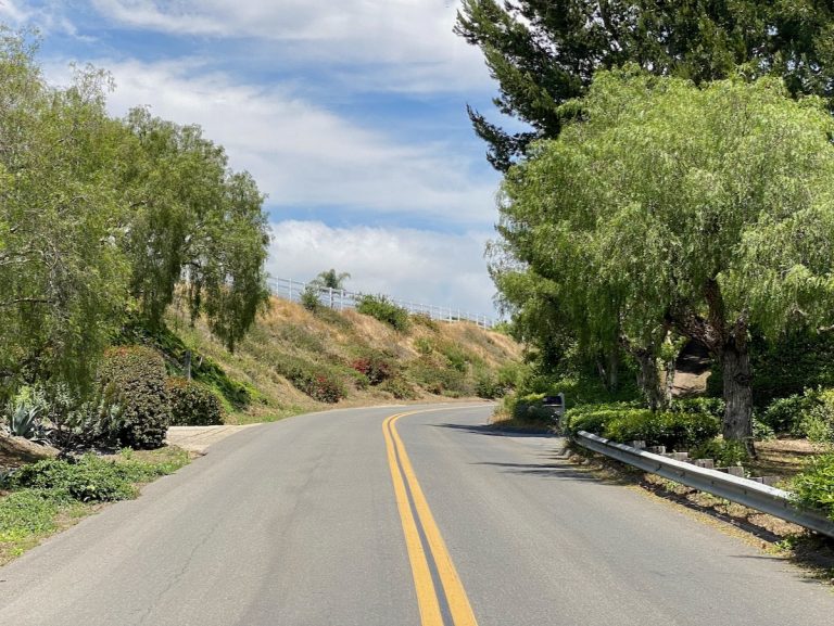 Siteline | Out and Back on Ortega Ridge