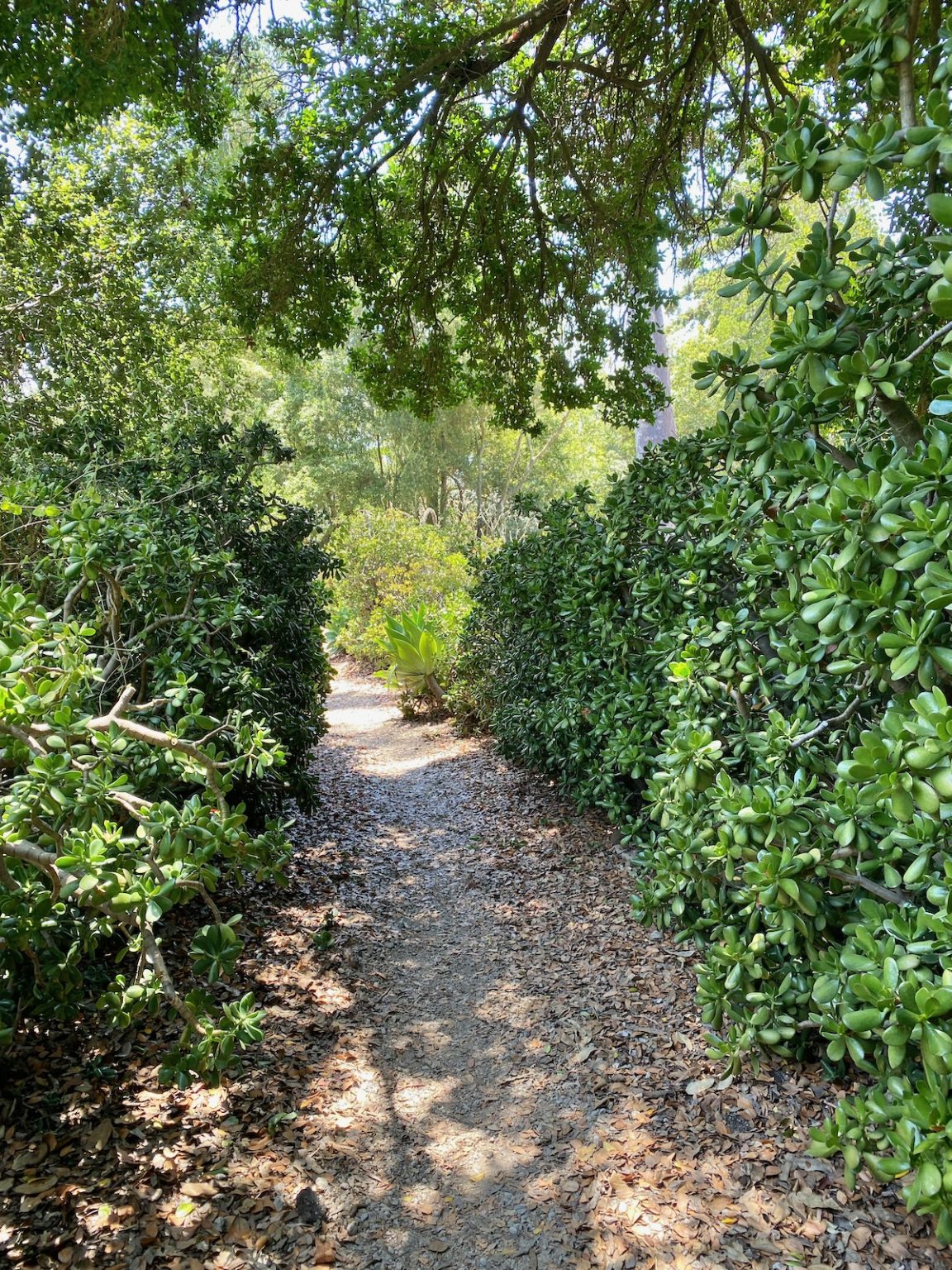 Siteline | High on the Lower Riviera