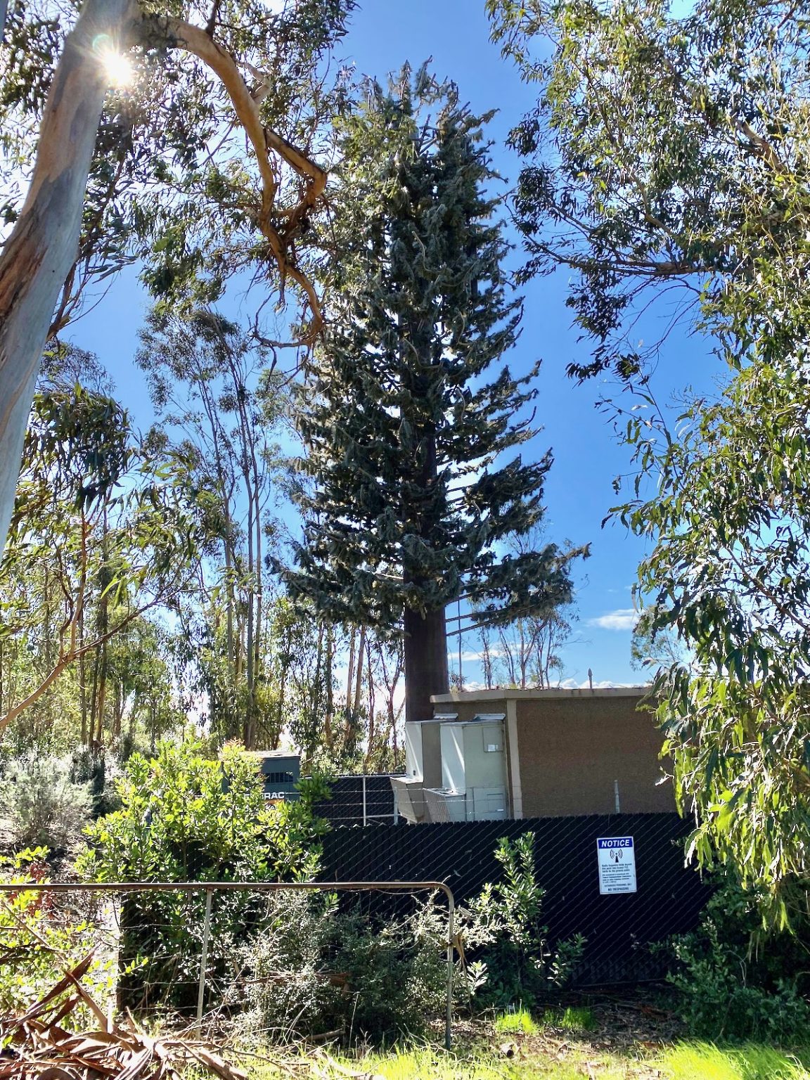 Siteline | What’s the History of This Tower on Ortega Ridge?