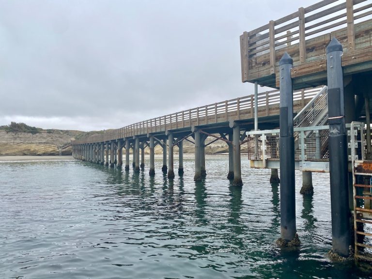 Siteline | Santa Rosa Island in One Day