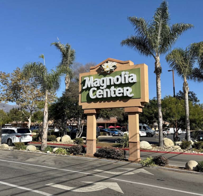 Siteline | In the Shadow of Magnolia Center