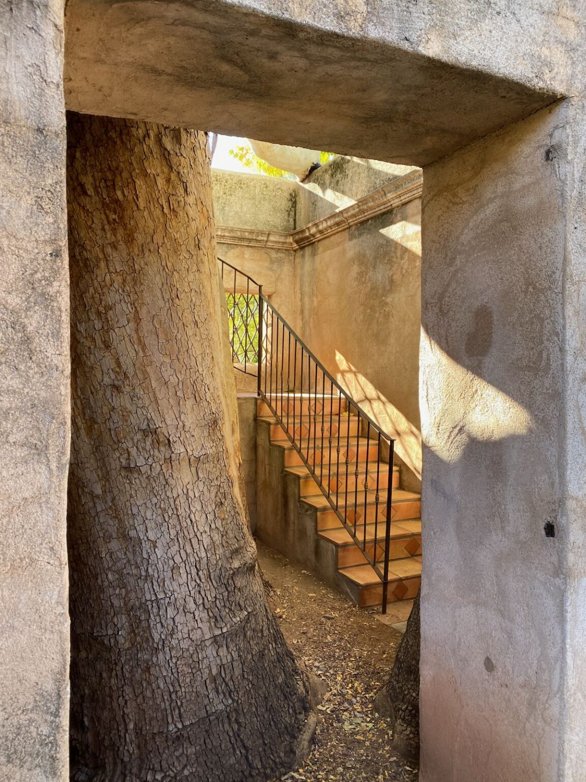 Siteline | One and Done in Sedona