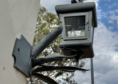 Siteline | Newsletter: November 30